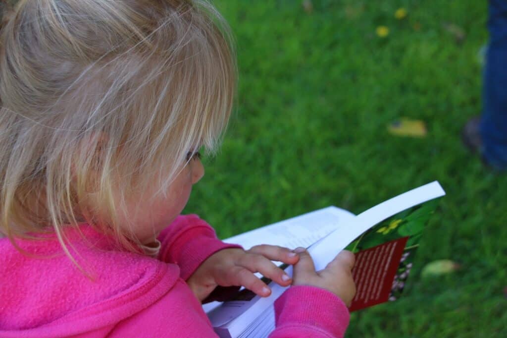 Wild Foraging: How To Identify, Harvest and Prepare Bracken Fern ...
