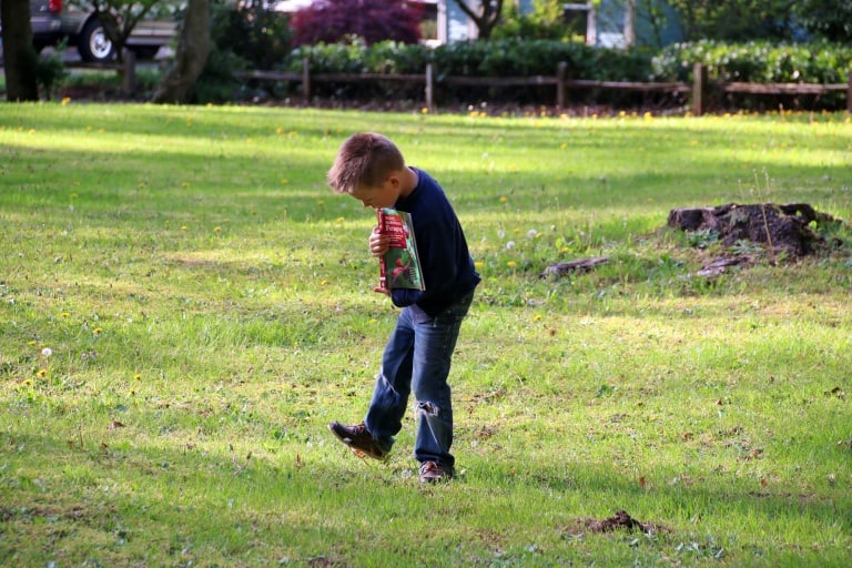 Wild Foraging: How To Identify, Harvest and Prepare Bracken Fern ...