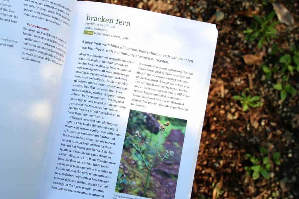 Wild Foraging: How To Identify, Harvest and Prepare Bracken Fern ...