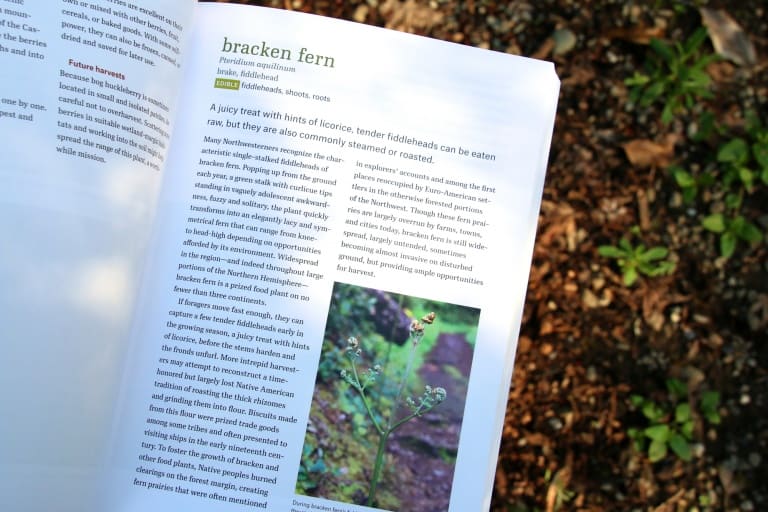 Wild Foraging: How To Identify, Harvest and Prepare Bracken Fern ...