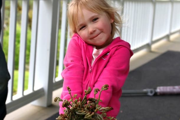 Wild Foraging: How To Identify, Harvest and Prepare Bracken Fern ...