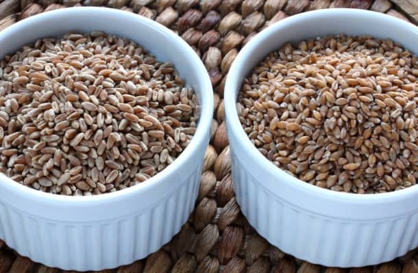 German Bread (Authentic Vollkornbrot) - The Daring Gourmet