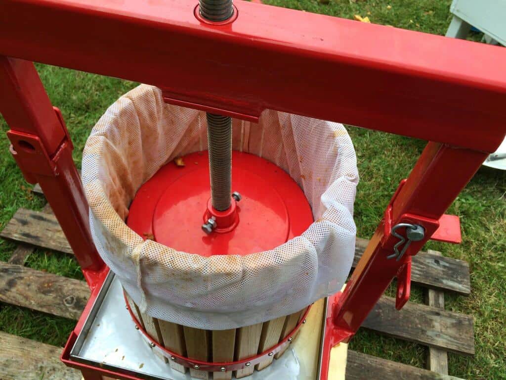 Maximizer Fruit & Apple Cider Press Review + How To Bottle & Preserve ...