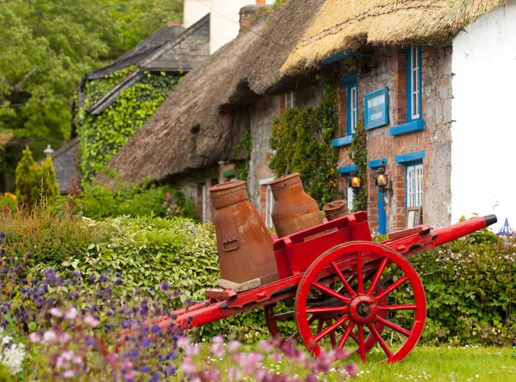 Ultimate Irish Colcannon - The Daring Gourmet