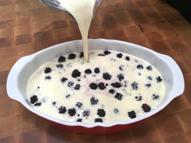 Blackberry Clafoutis - The Daring Gourmet