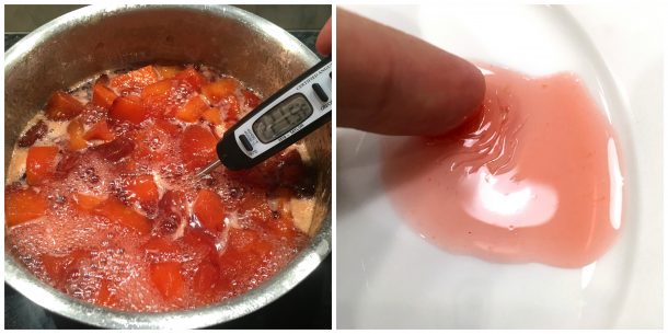 Membrillo (Sweet Quince Paste) - The Daring Gourmet