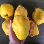 Membrillo (Sweet Quince Paste) - The Daring Gourmet