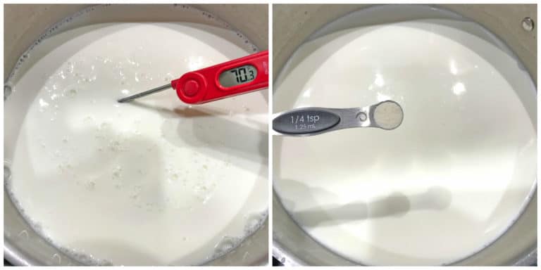 How To Make Quark Cheese - The Daring Gourmet