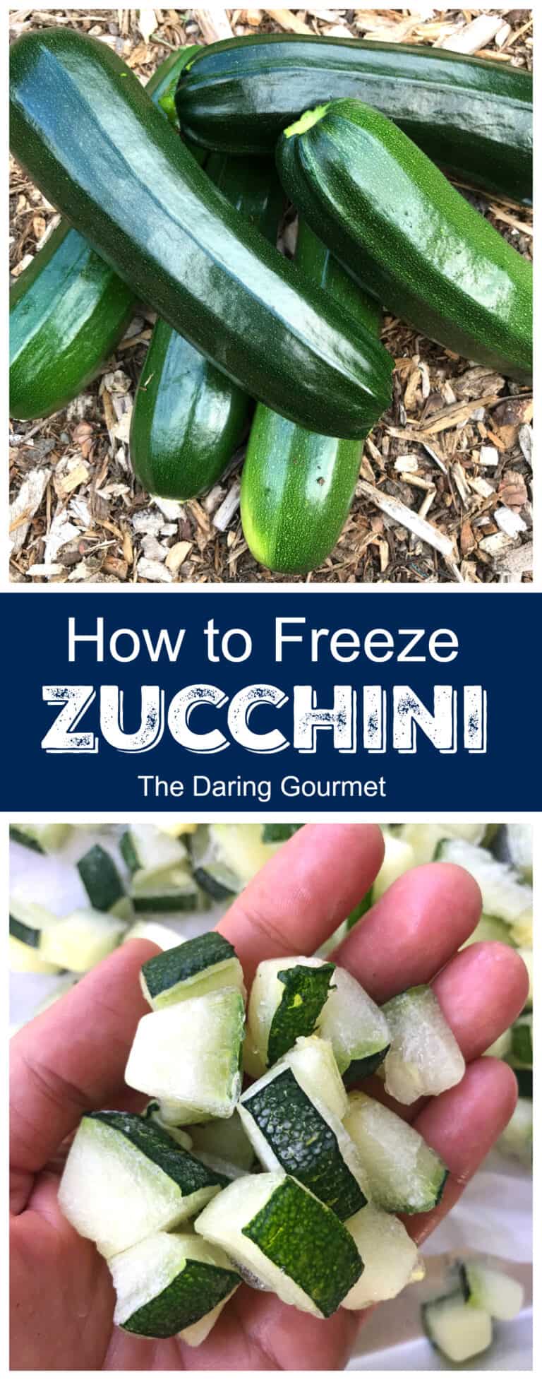 How to Freeze Zucchini - The Daring Gourmet