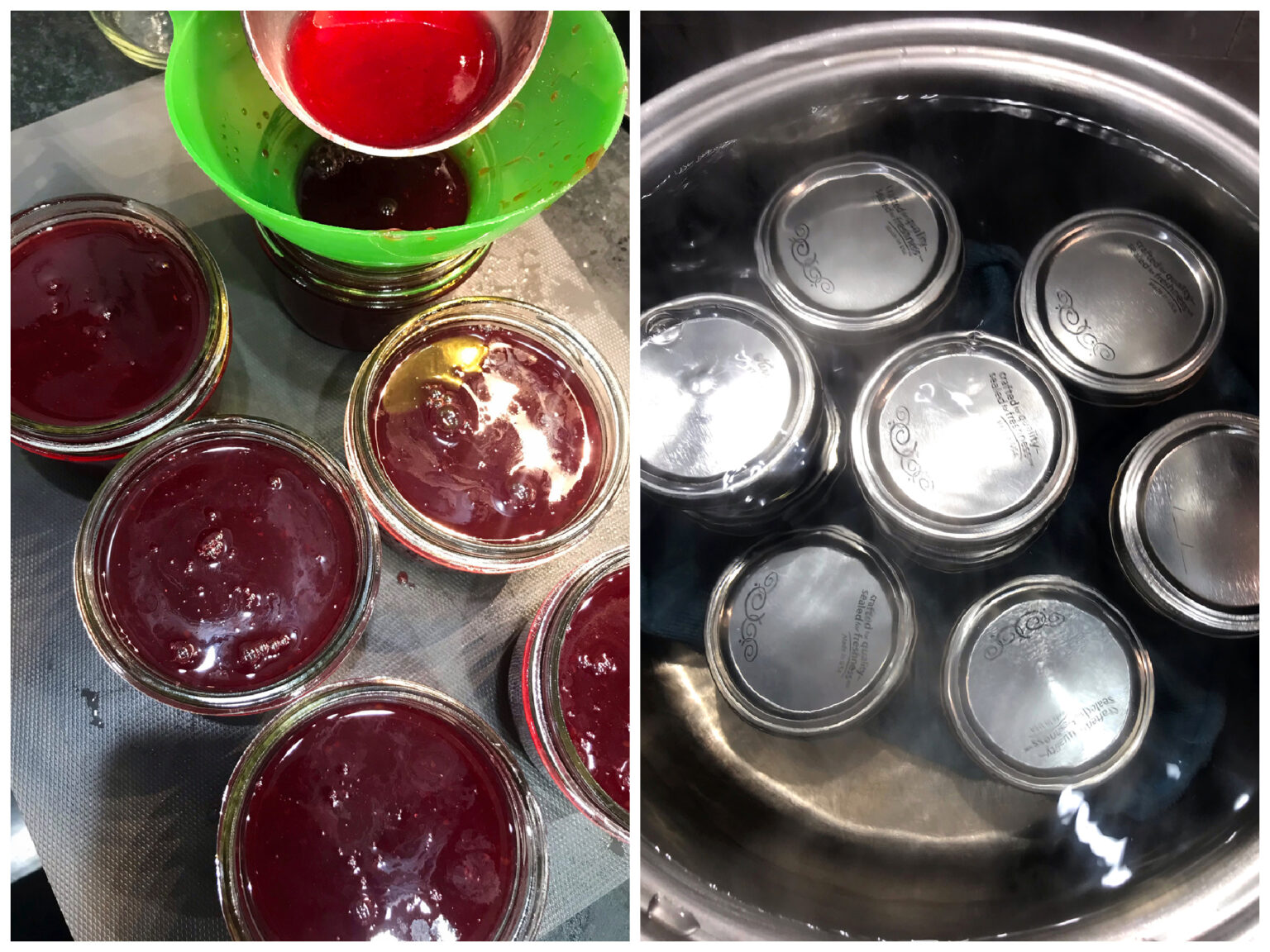 Red Currant Jelly - The Daring Gourmet