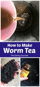 How to Make Worm Tea - The Daring Gourmet