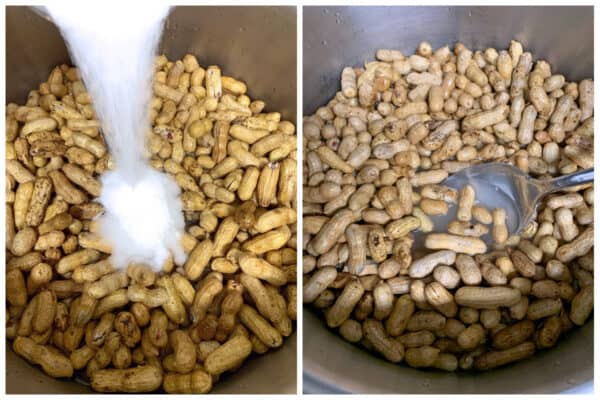 Boiled Peanuts - The Daring Gourmet