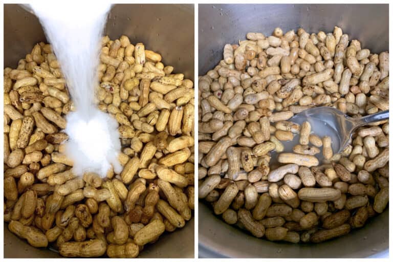 Boiled Peanuts - The Daring Gourmet