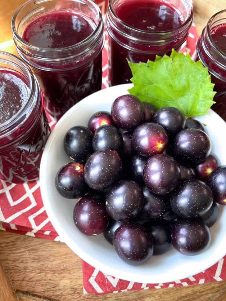 Muscadine Jelly - The Daring Gourmet